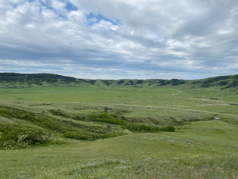 Current Mischief – June 11th, 2024 – Robert Bose