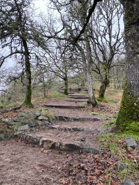 Current Mischief – January 3rd, 2025 – Robert Bose